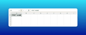 How to Create a Membership Database in Excel [6 Easy Steps]