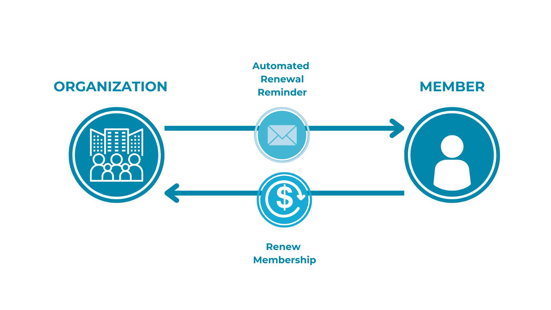 Membership Management Software: Because Spreadsheets Are So Last Century!