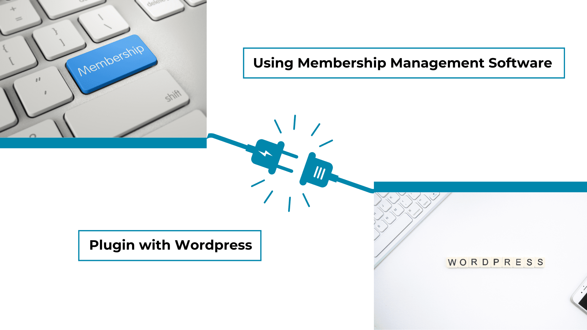 What Is Membership Management Software? A Complete Guide