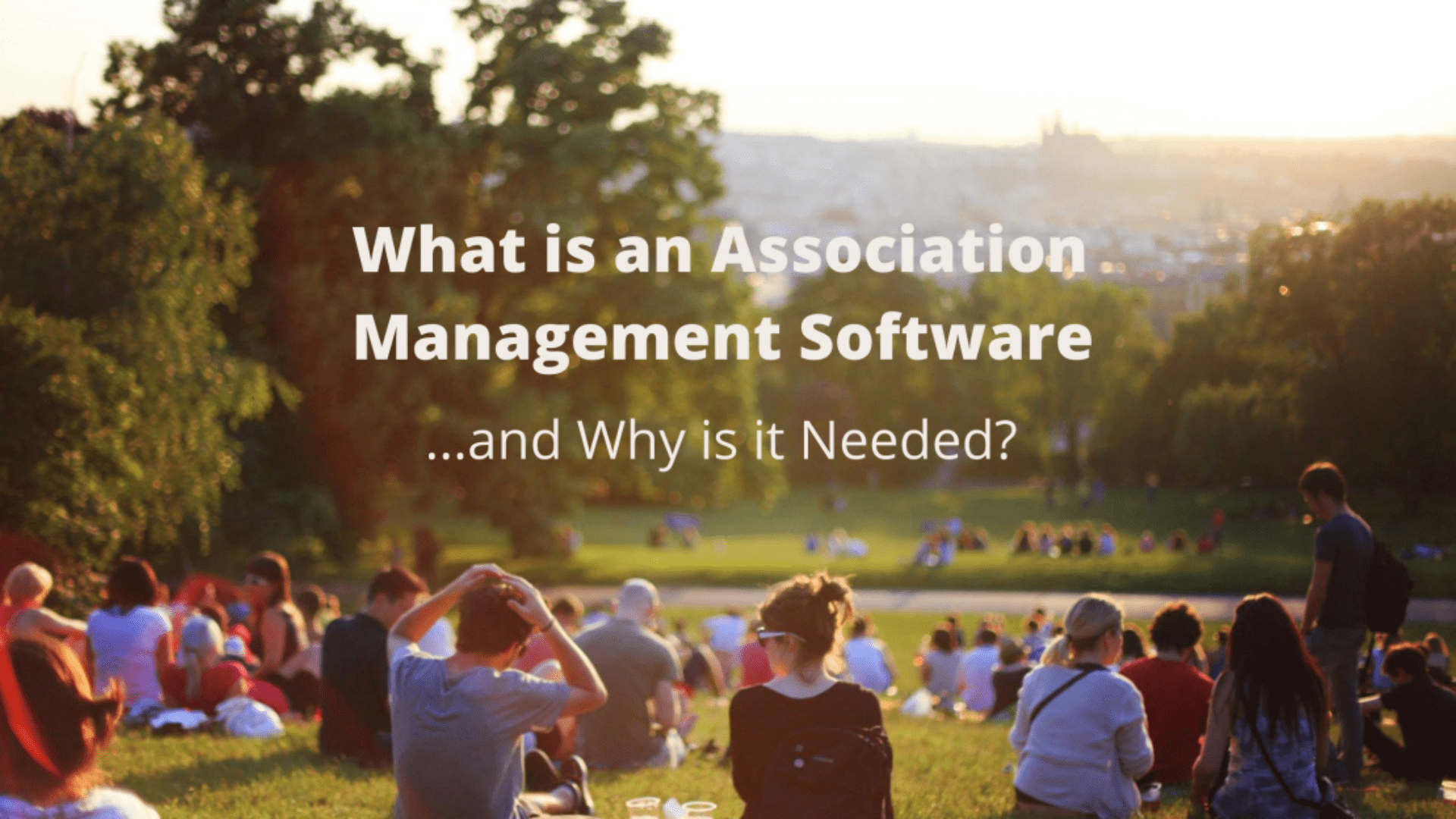 Association Management Software 101: Reach Your Potential