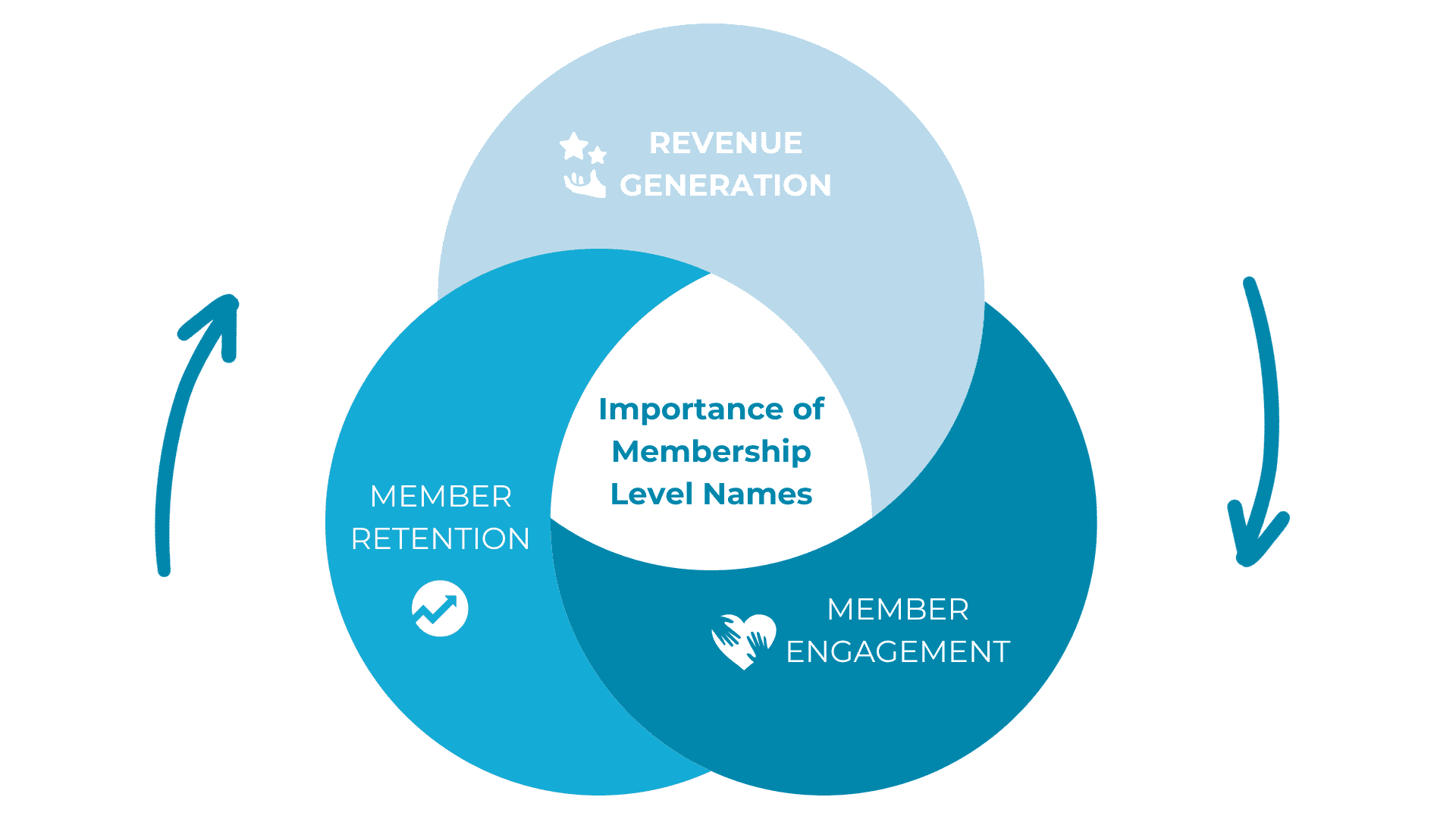 Unlocking Success: Understanding Membership Levels